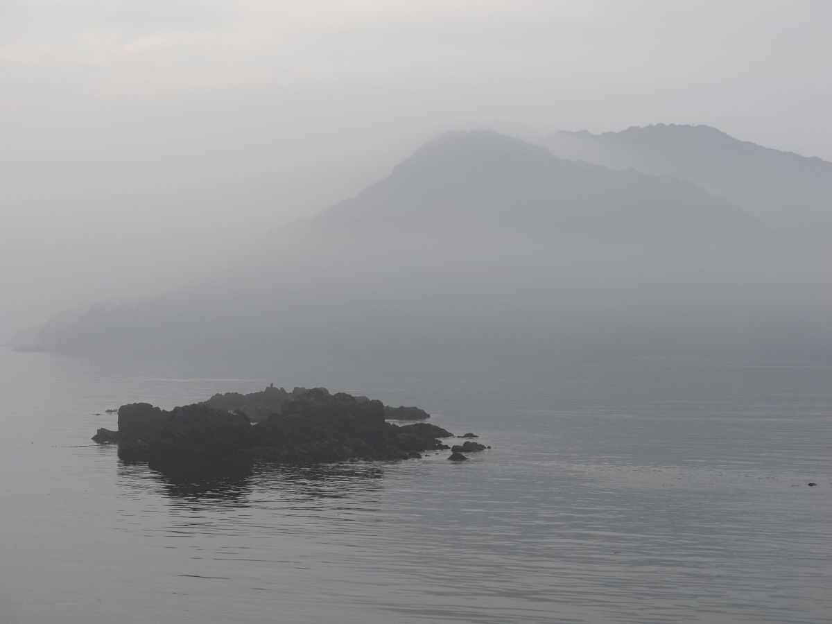 海霧2024/7 | GANREF