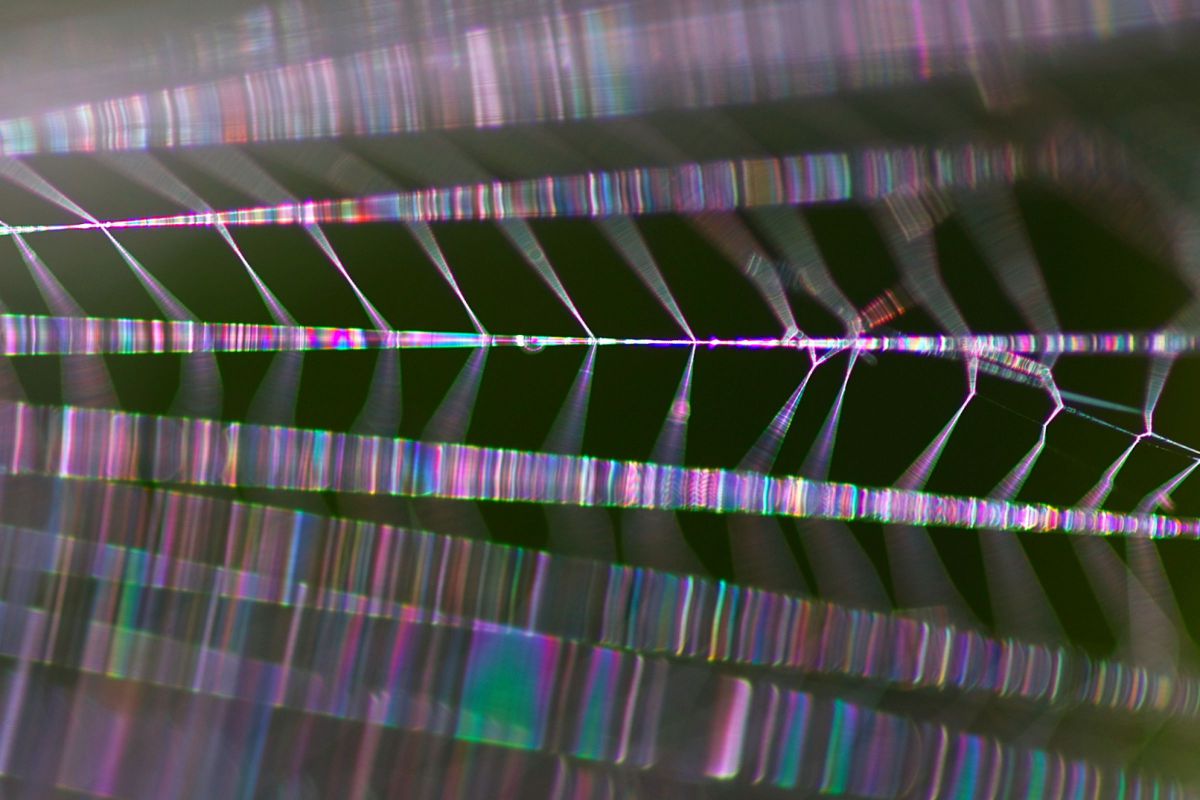 created net 4 | GANREF