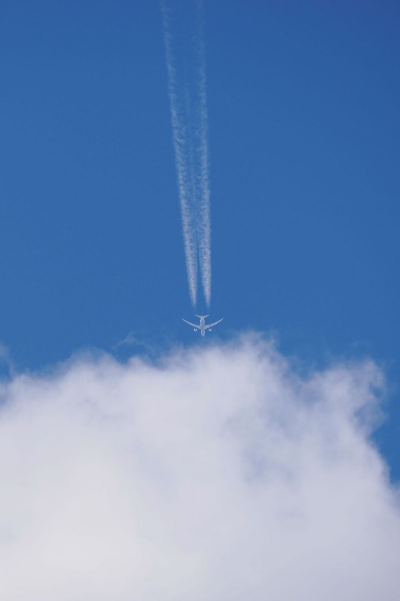 distant sky | GANREF