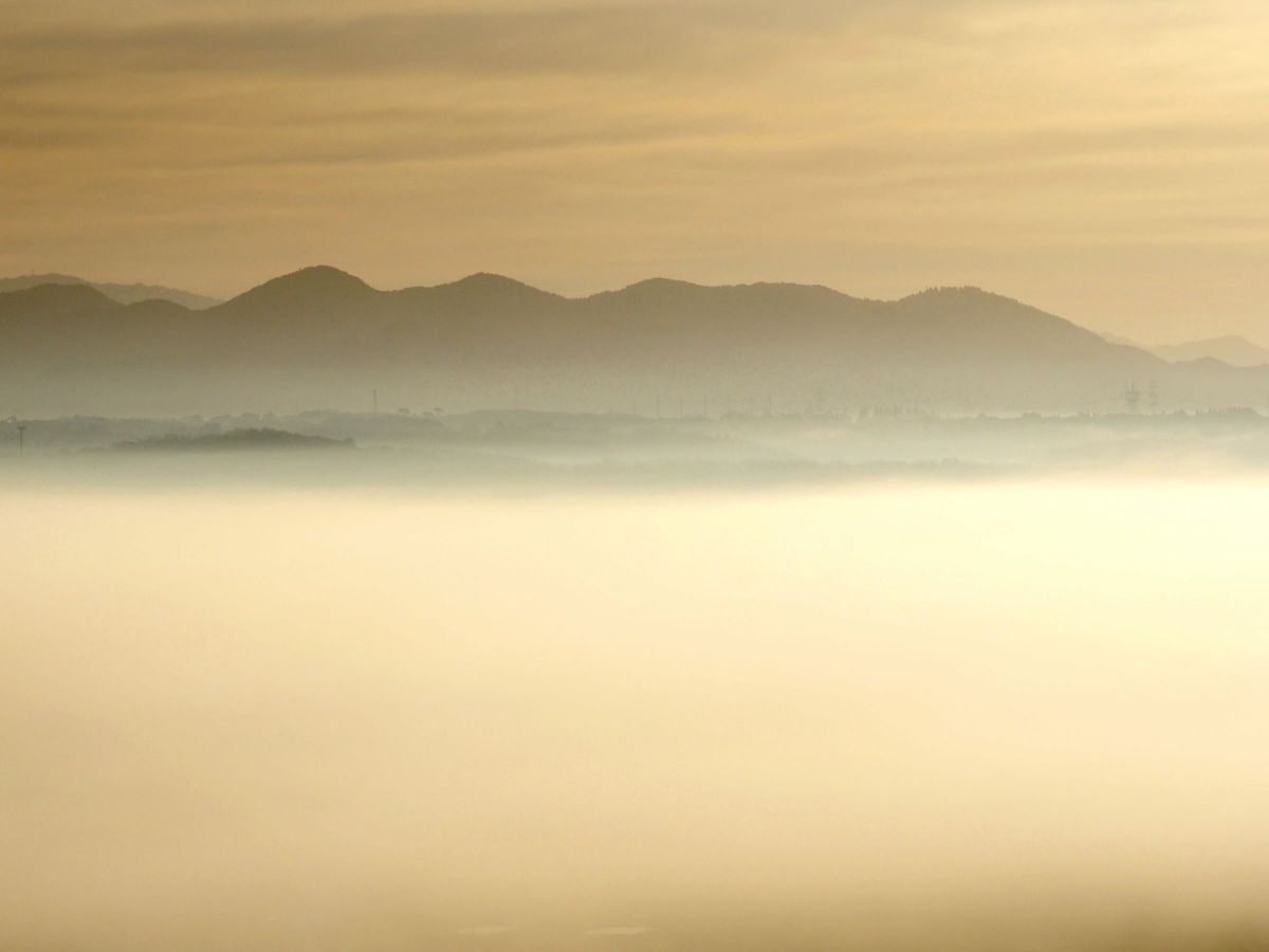 wrapped in morning mist 2023-4 | GANREF