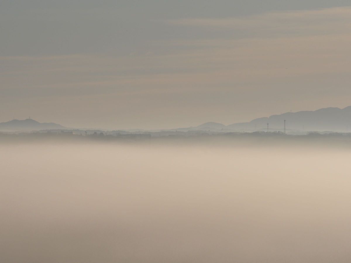 wrapped in morning mist 2023-6 | GANREF