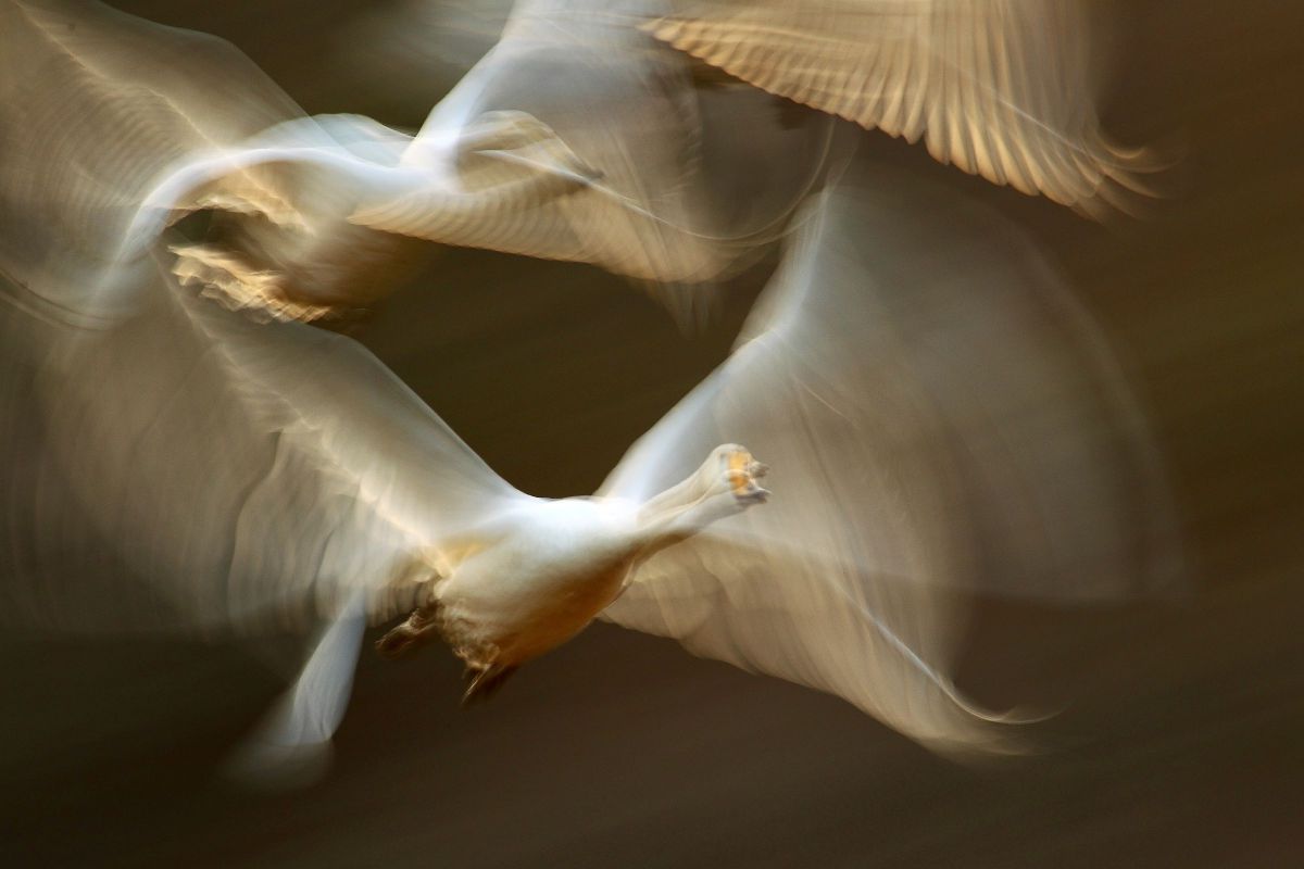 time of memories 2012-5 | GANREF