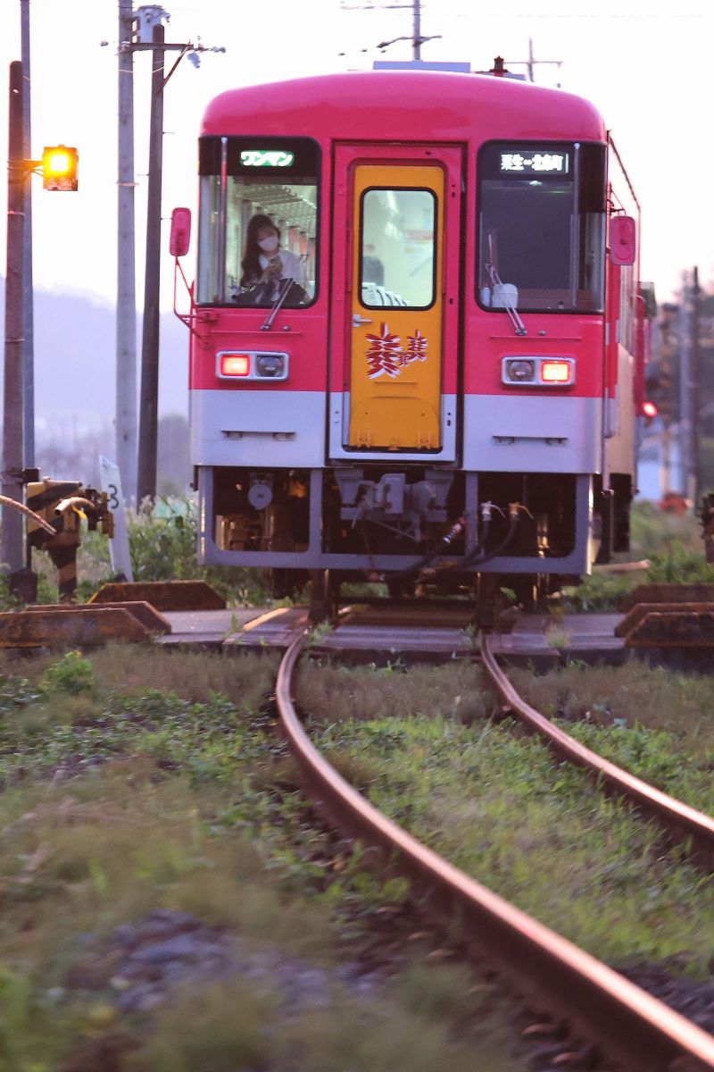 after school | GANREF