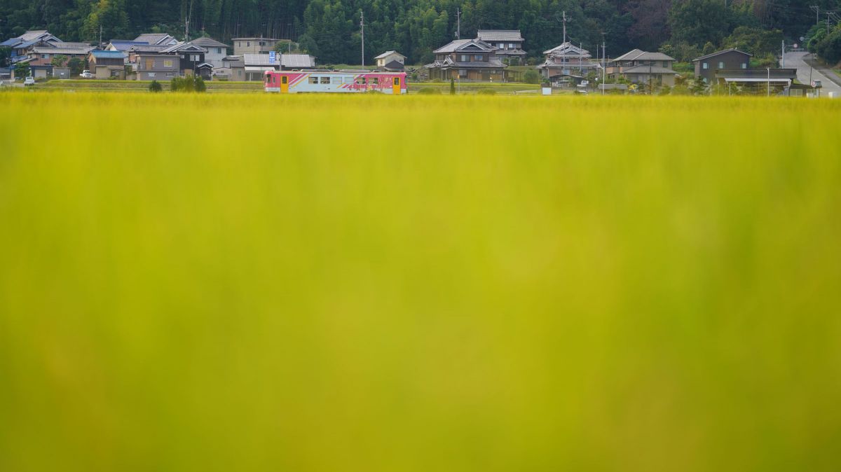 秋色鑑賞5 | GANREF