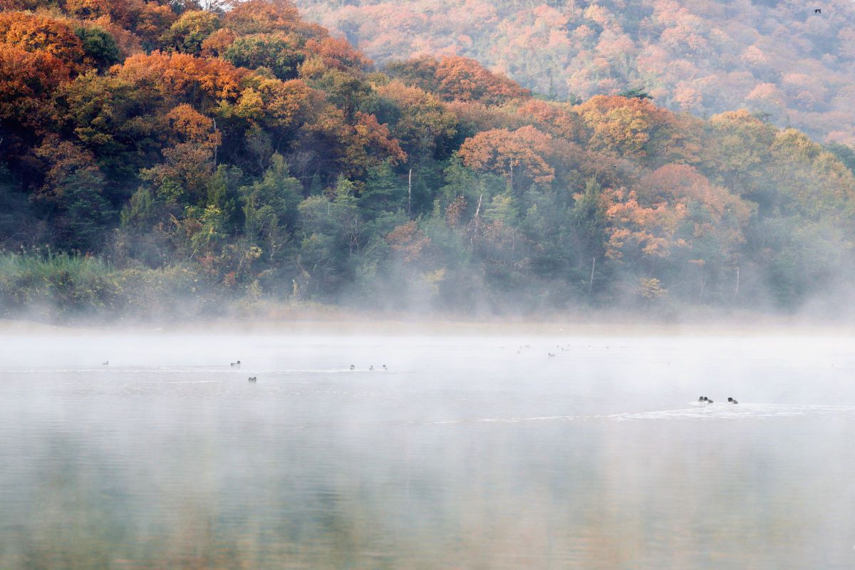 静かな朝 2018 | GANREF