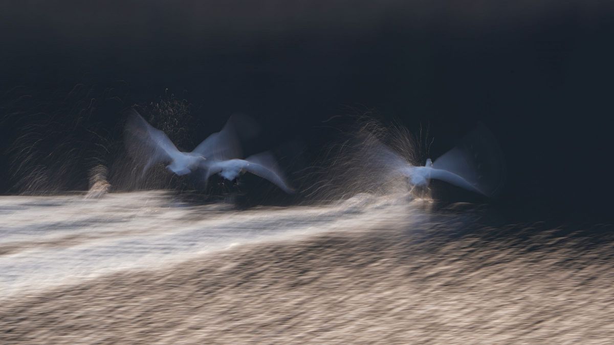 beautiful landing2 | GANREF