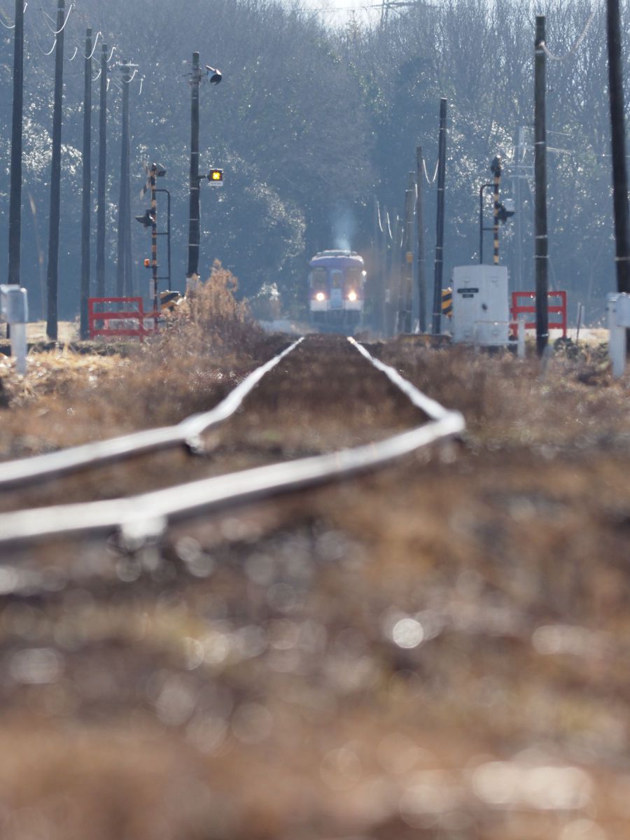 春近し2/26 | GANREF