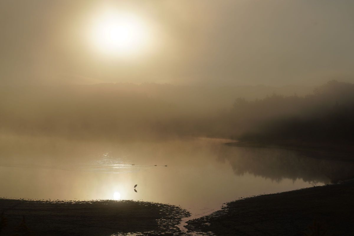 静かな朝 10/22 | GANREF