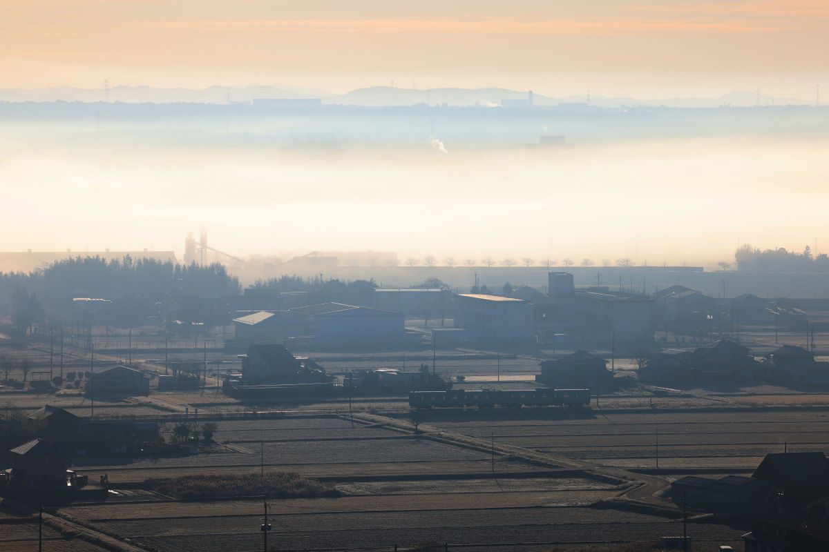 wrapped in morning mist 2023-2 | GANREF