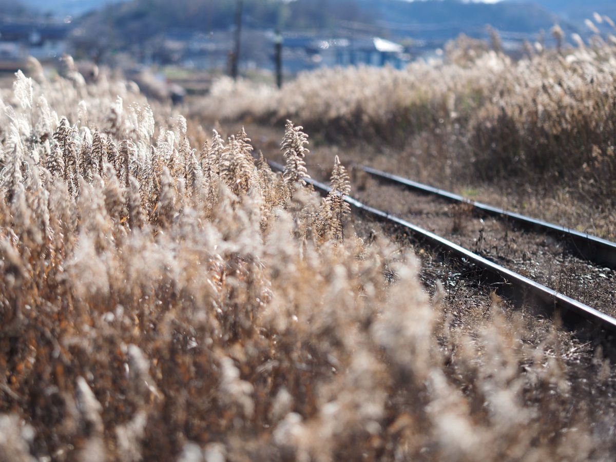 quiet landscape | GANREF