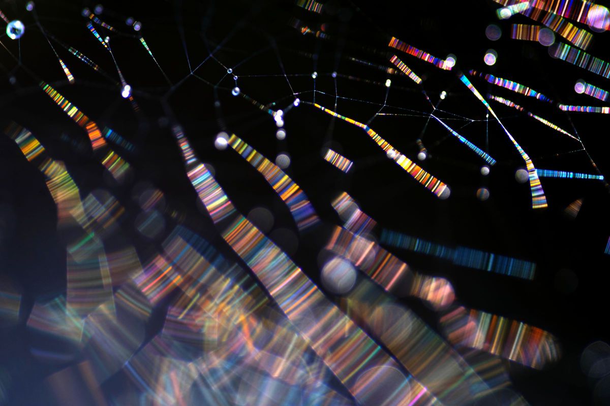 rhythmic rainbow | GANREF