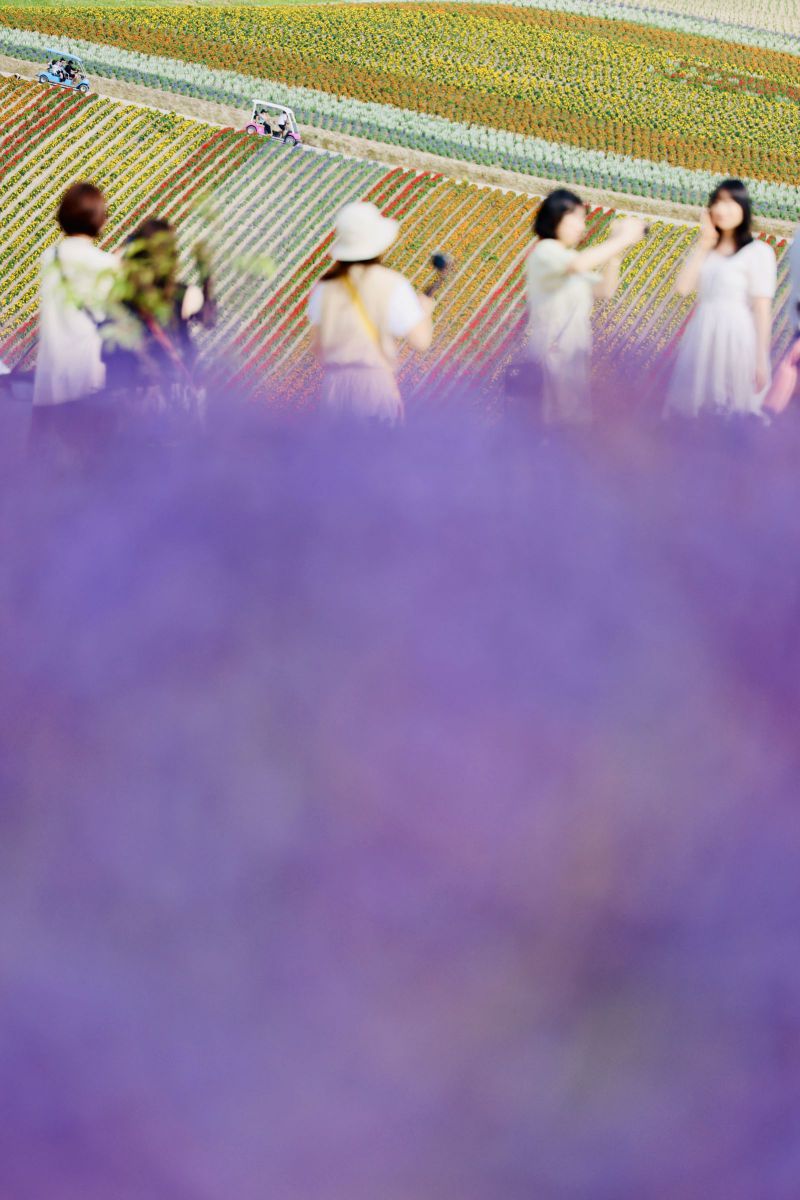 Hokkaidōkankō 2023/7-47 | GANREF