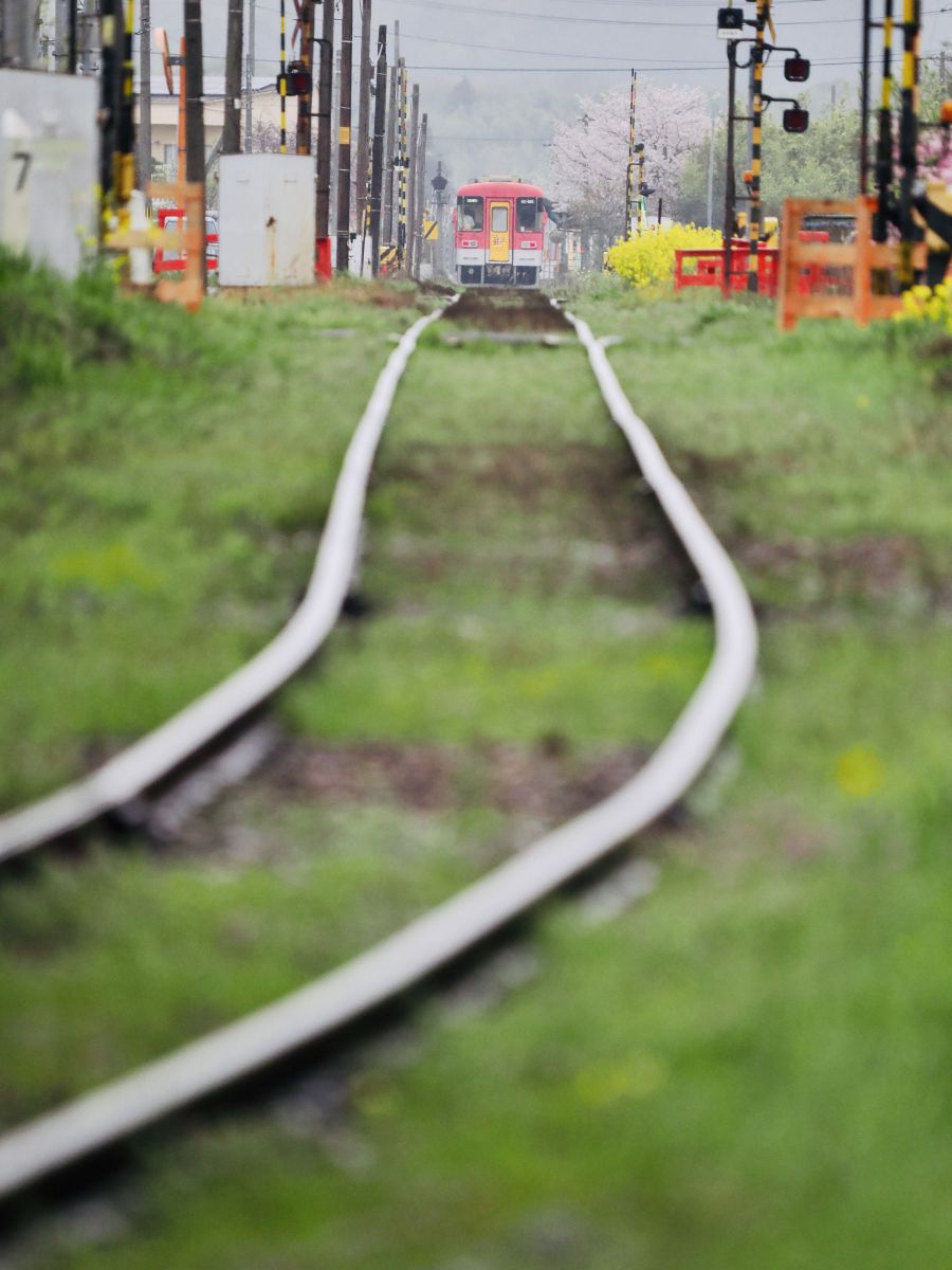 dramatic lines | GANREF