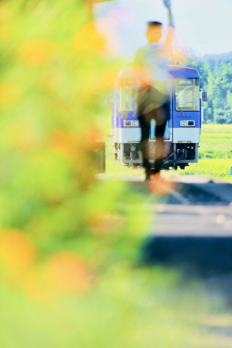 reminiscence 2013 | GANREF