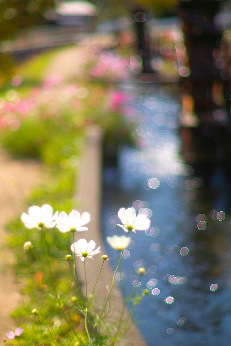 reminiscence 2012 | GANREF