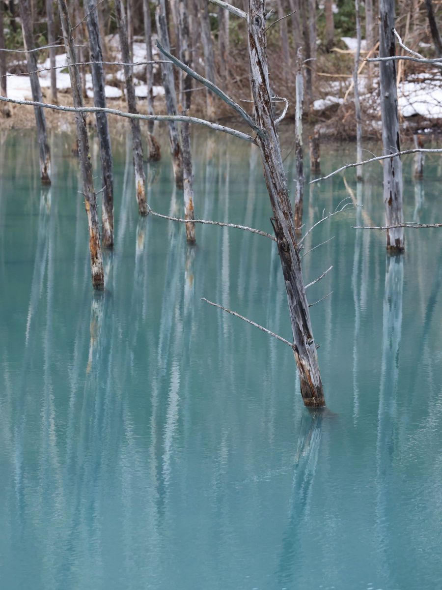 Hokkaidōkankō 2023/4-6 | GANREF