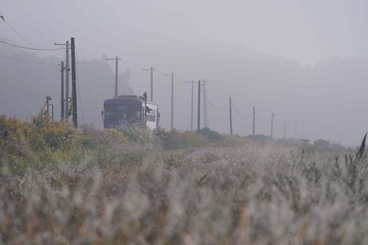 静かな朝 10/26 | GANREF