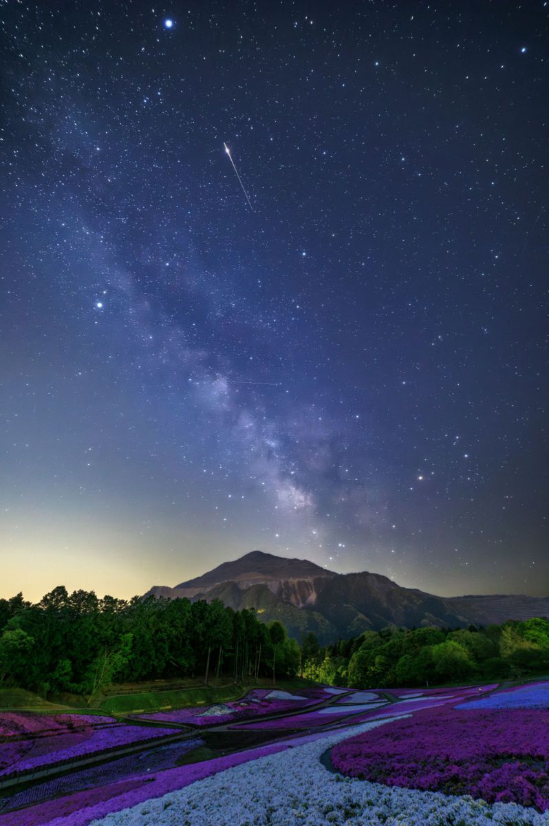 芝桜の宙2023 | GANREF