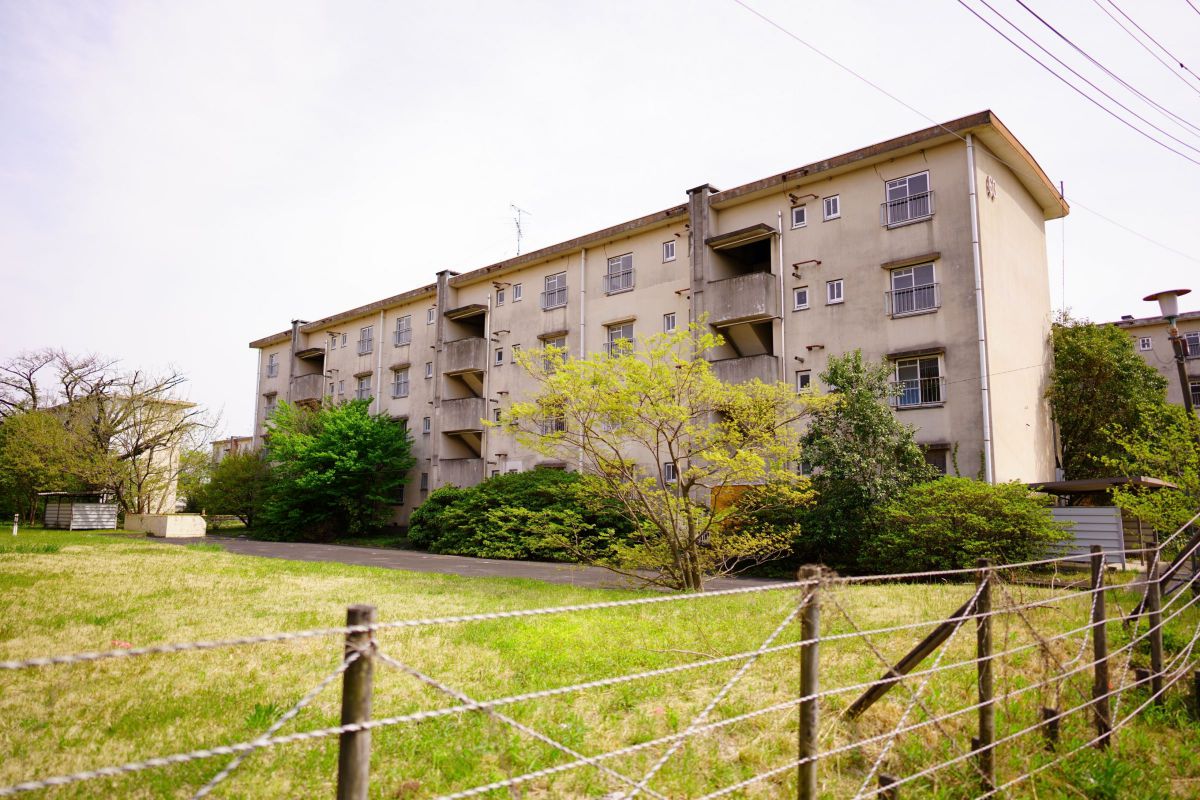 廃墟 2025年 春 ④ | GANREF