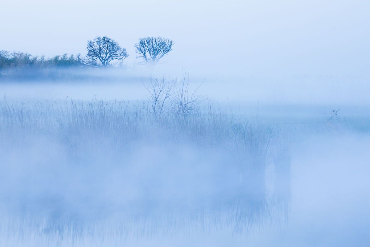 渡良瀬Dream | GANREF