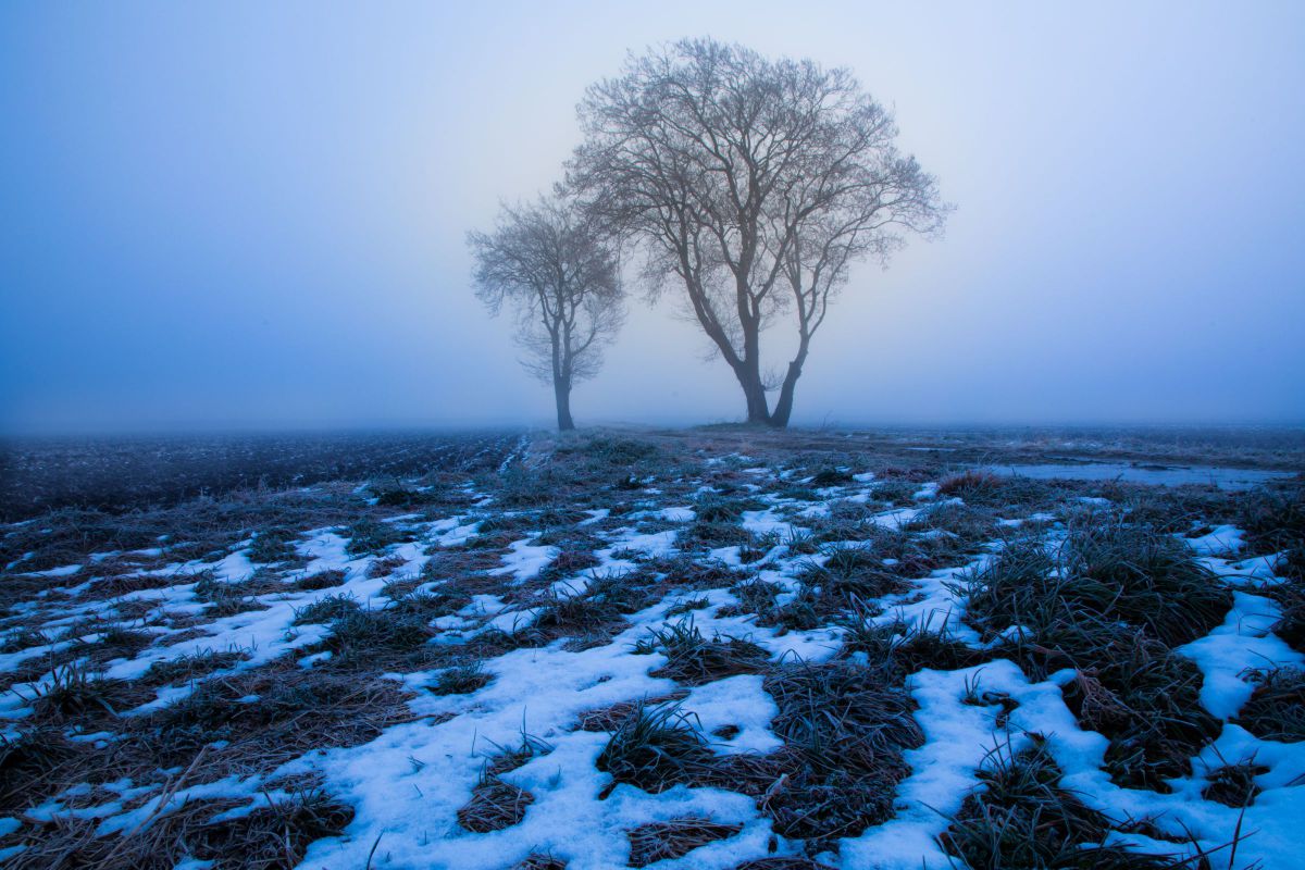 Lover`s remaining snow | GANREF