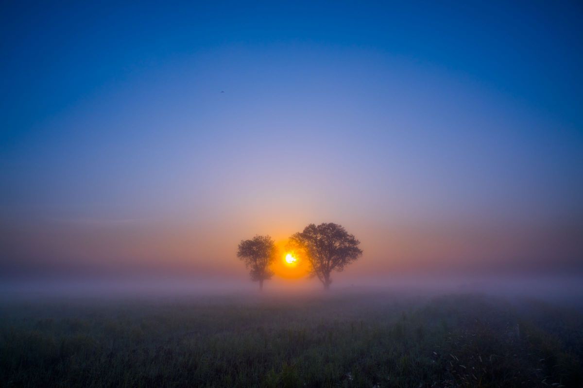 Lover`s Rising | GANREF