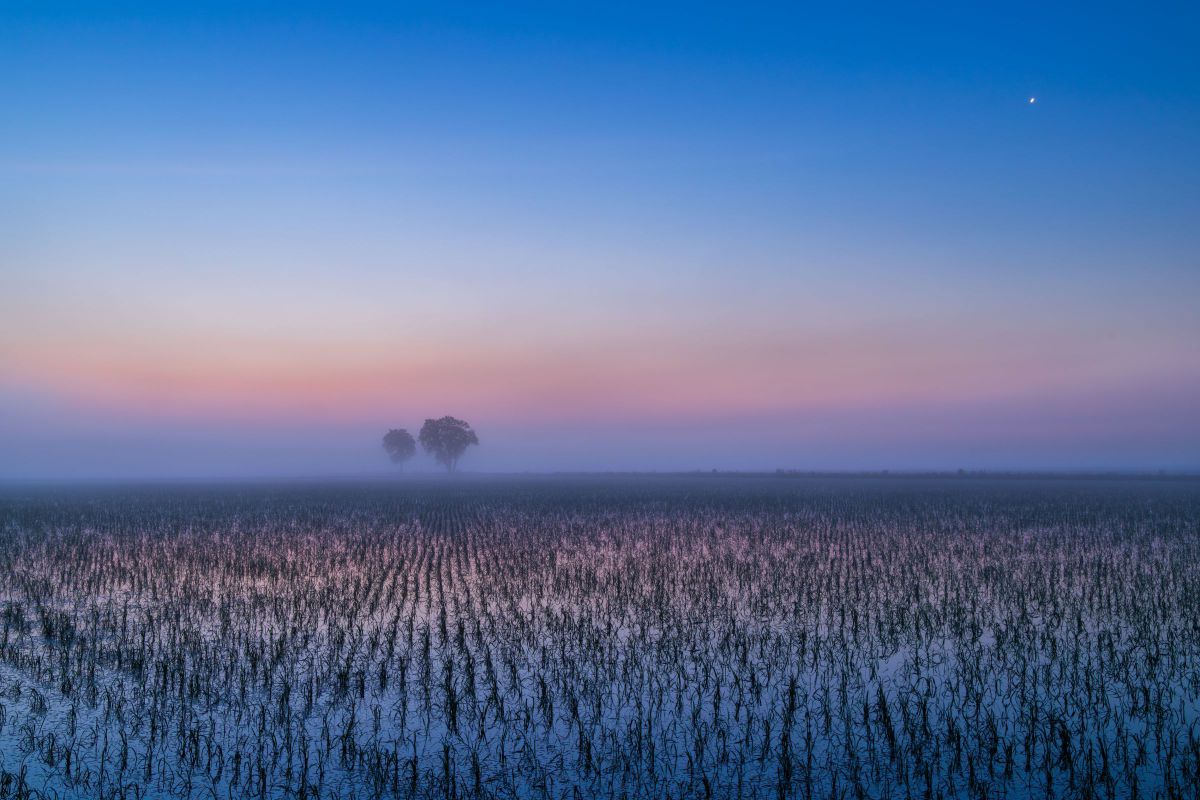 Venus & Lovers | GANREF