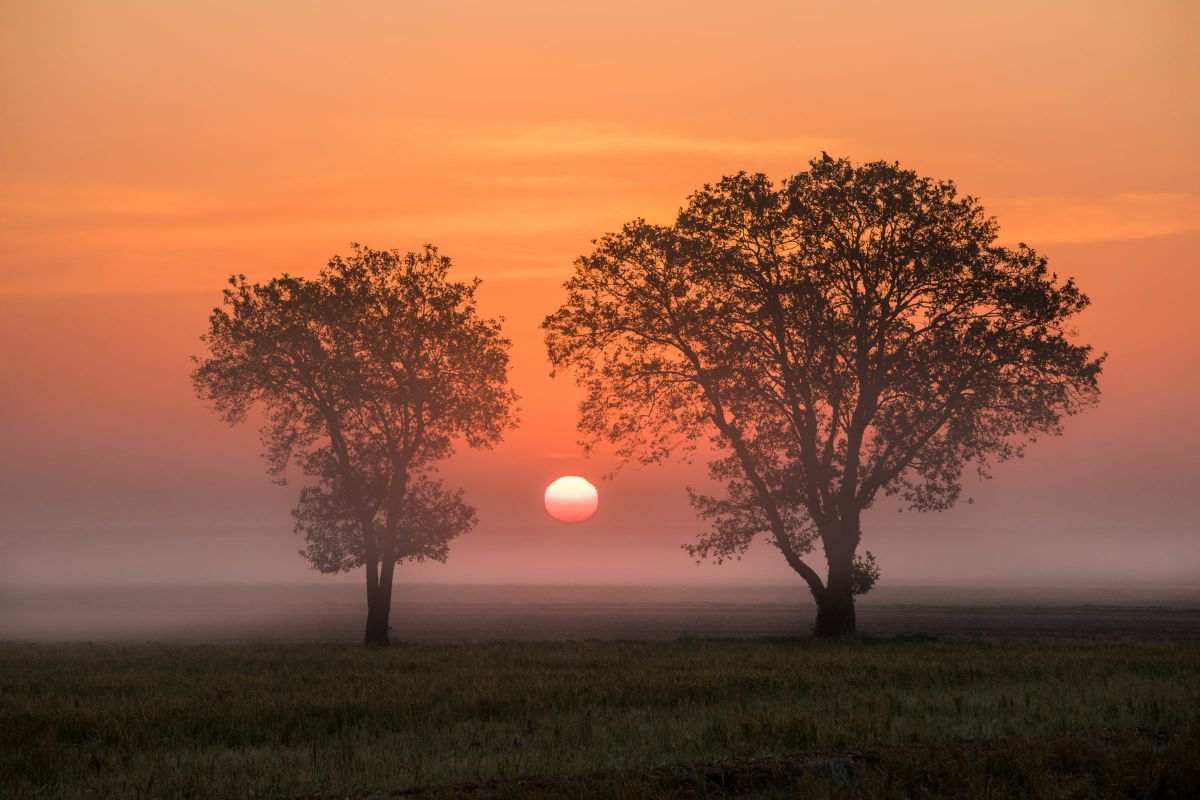 Lover`s Red Sun | GANREF