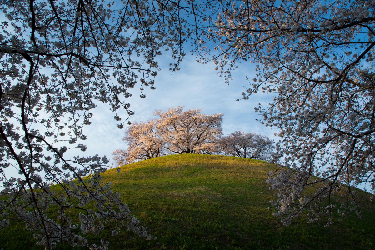 Fantasy Hill | GANREF