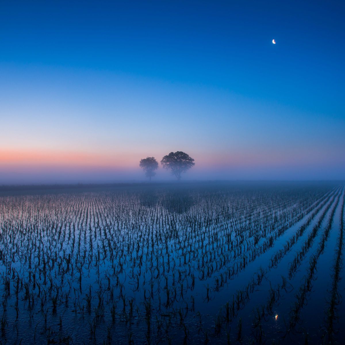 Lover`s & W moon | GANREF