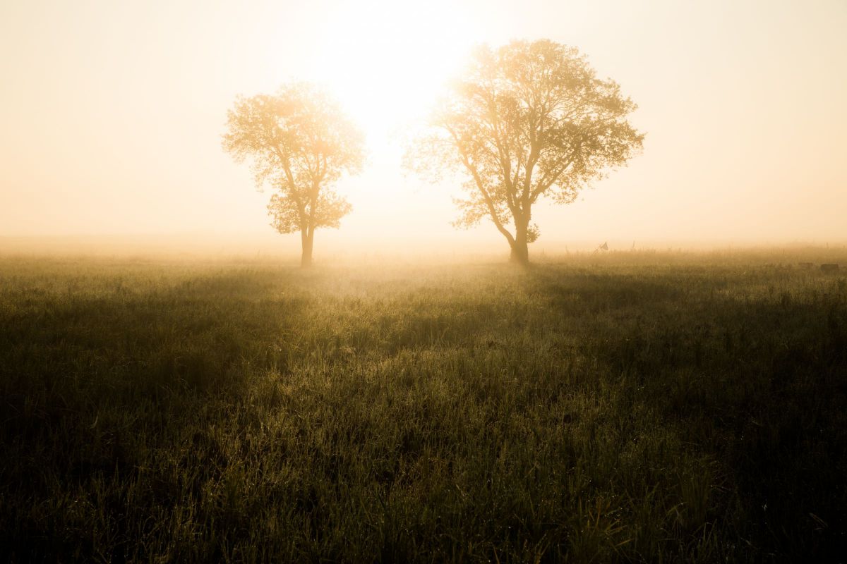 Lover`s Flash | GANREF