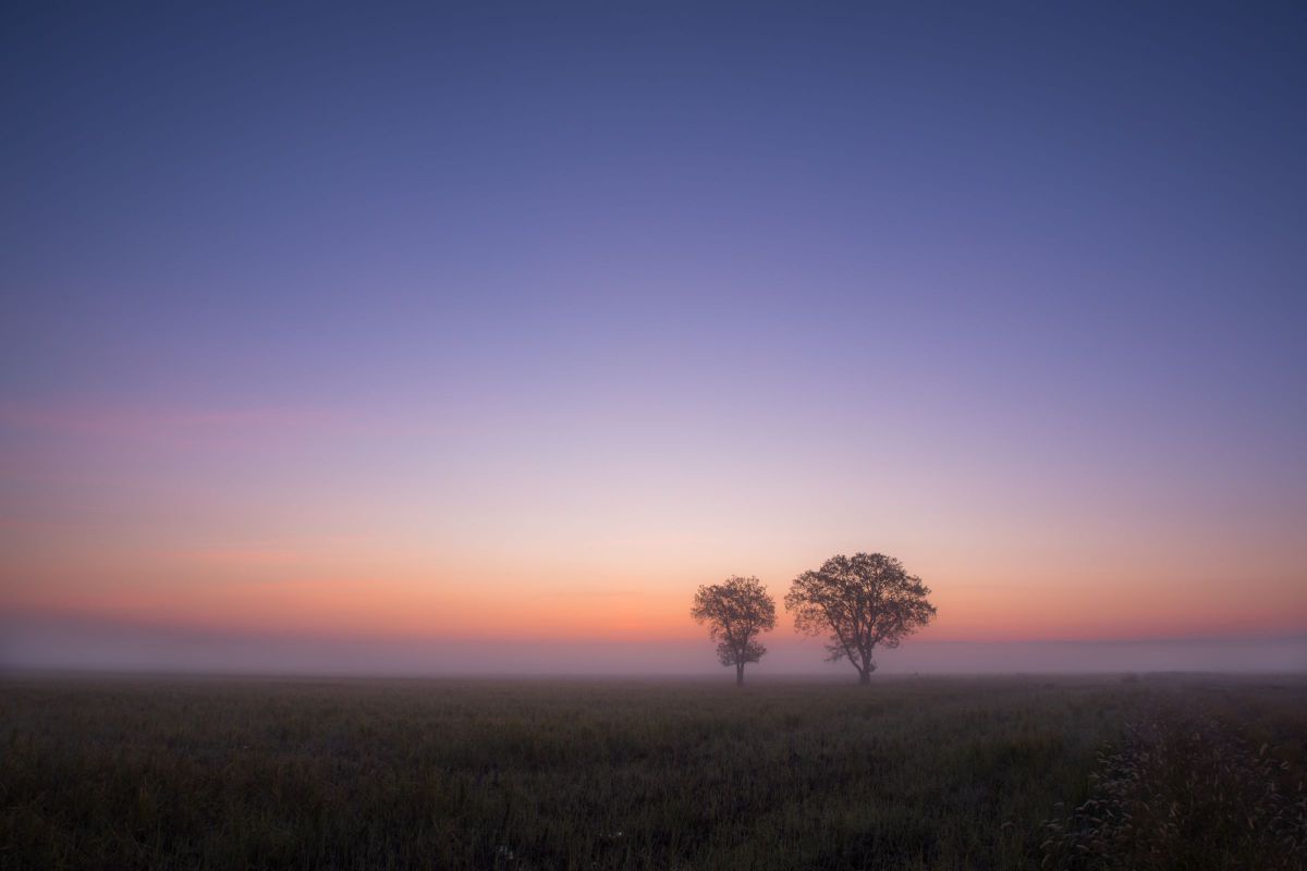 Lover`s magic hour | GANREF