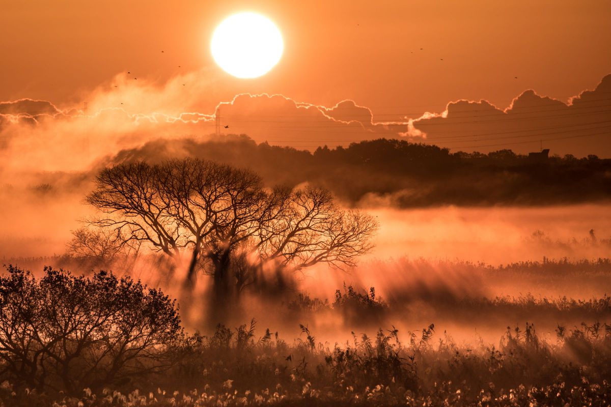 Dramatic Watarase | GANREF