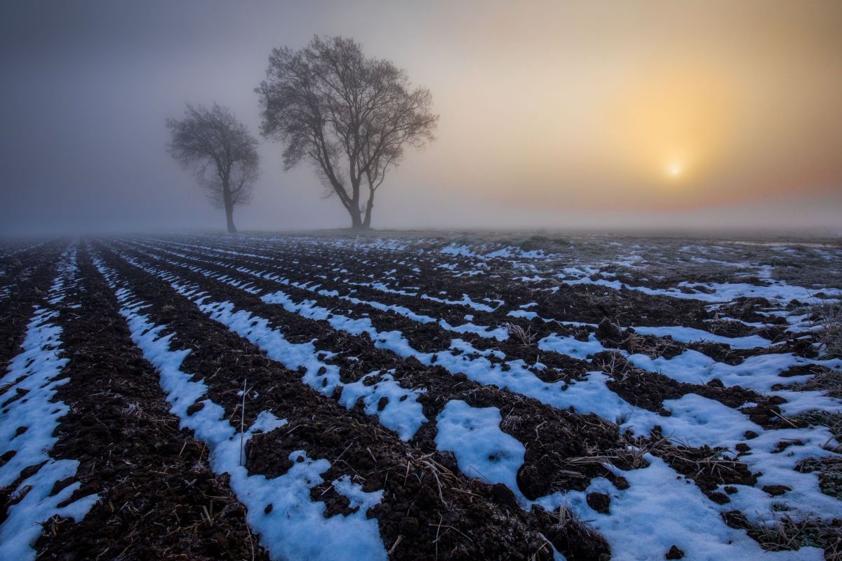 Waiting for spring | GANREF