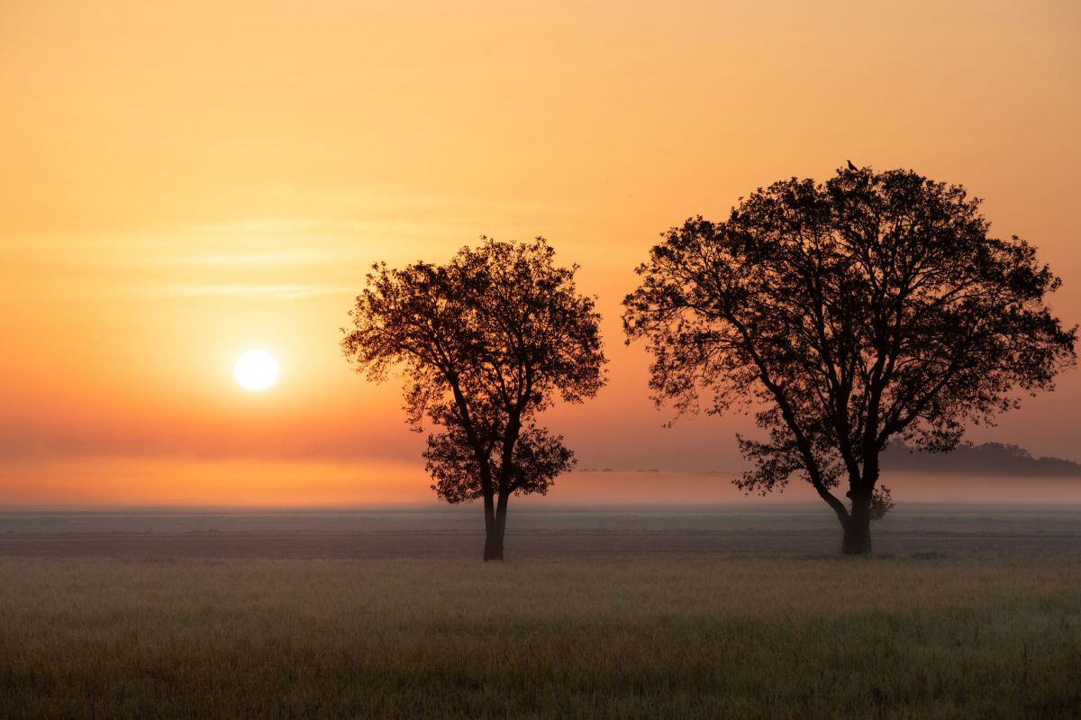 Lover`s Savannah | GANREF