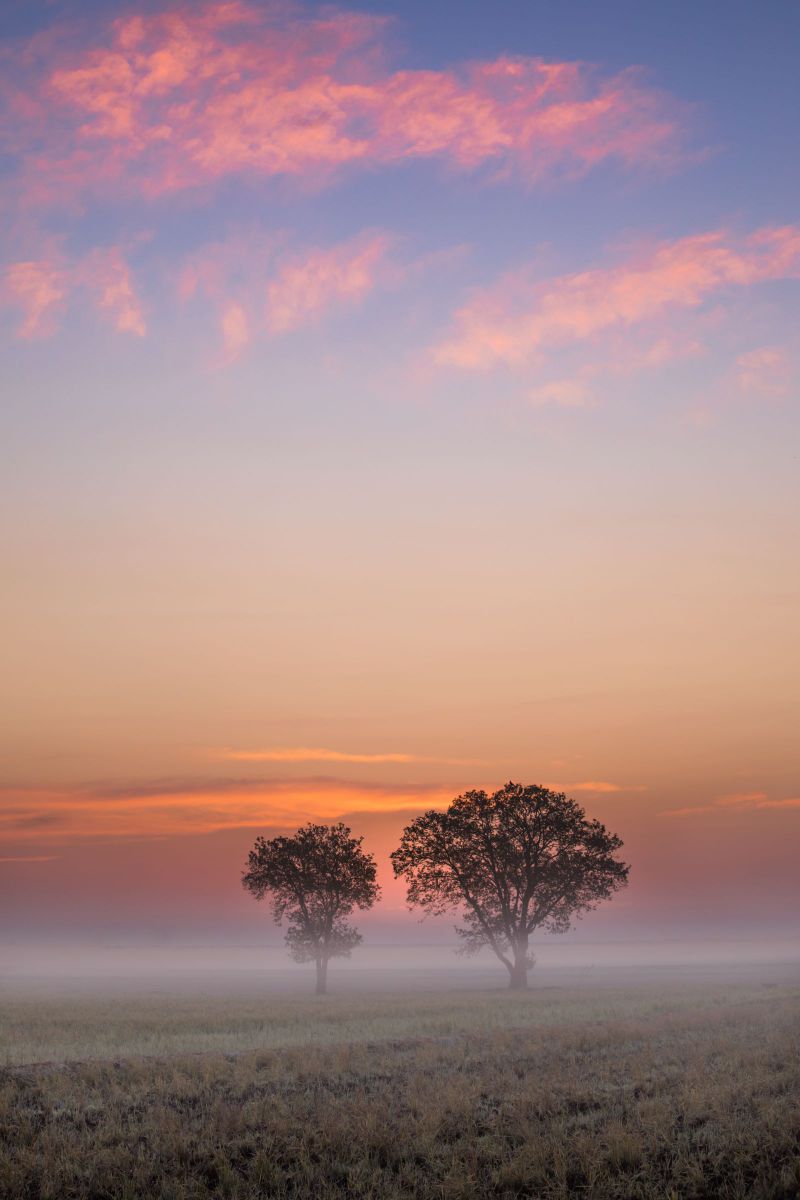 Lover`s Morning | GANREF