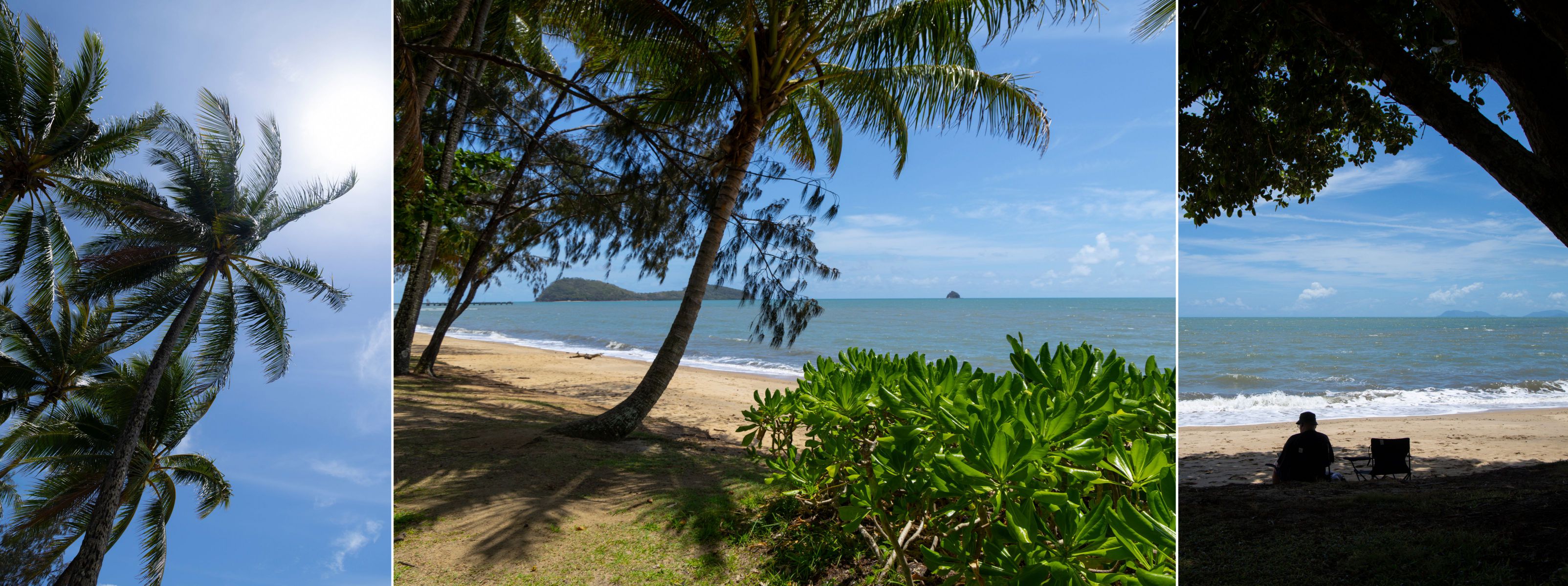 Palm Cove Beach④ | GANREF