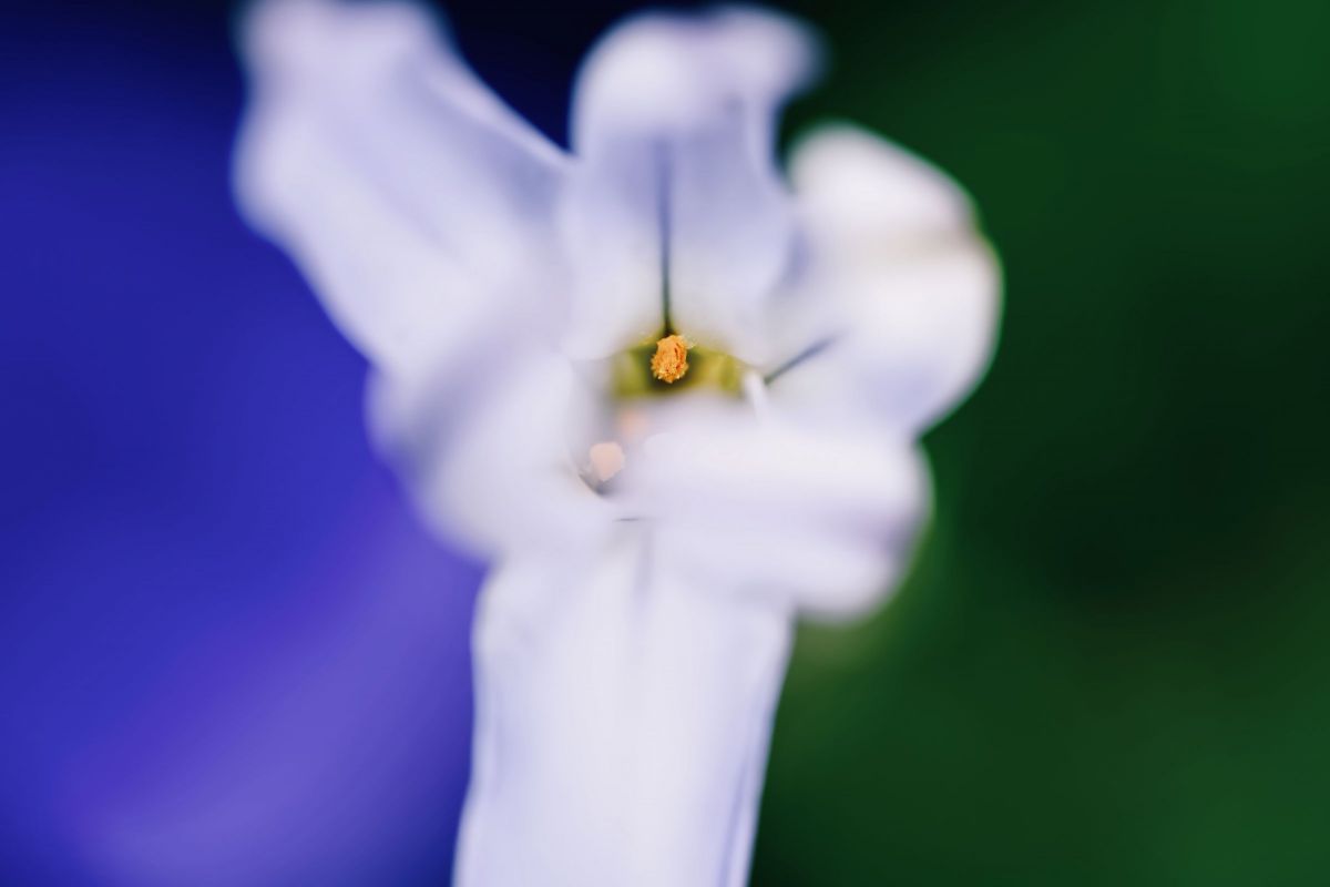 Beginning of the end. | GANREF