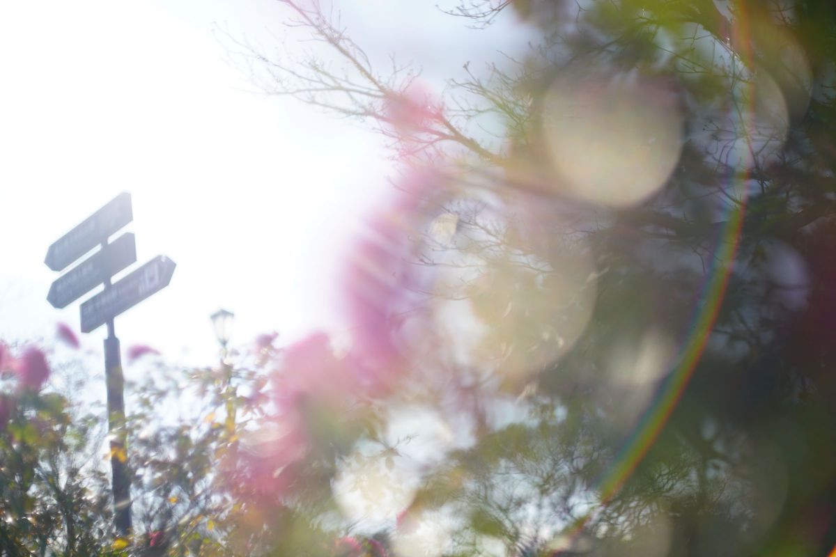 True magic -GUIDE- | GANREF