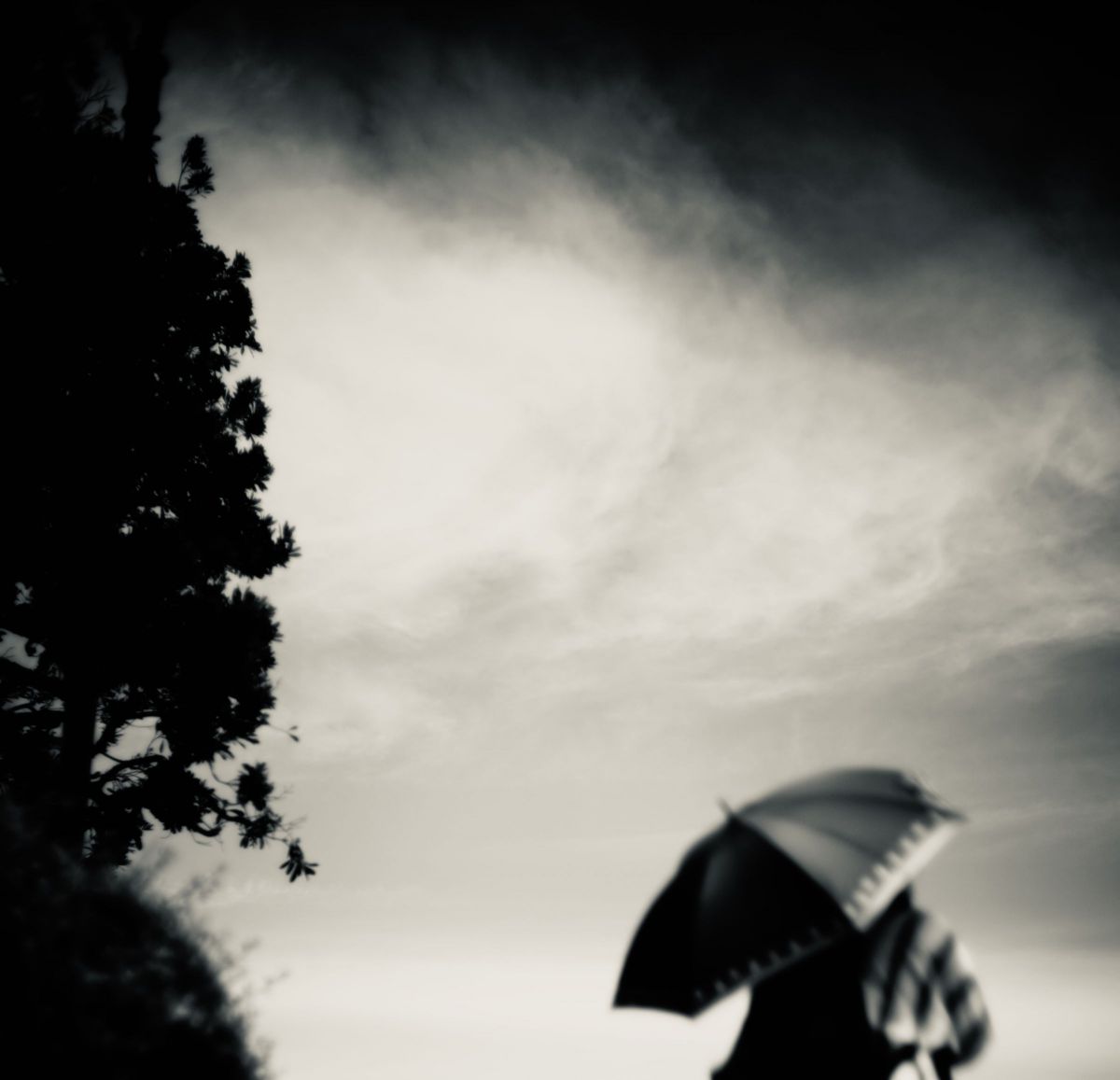 photography #17 Hide | GANREF