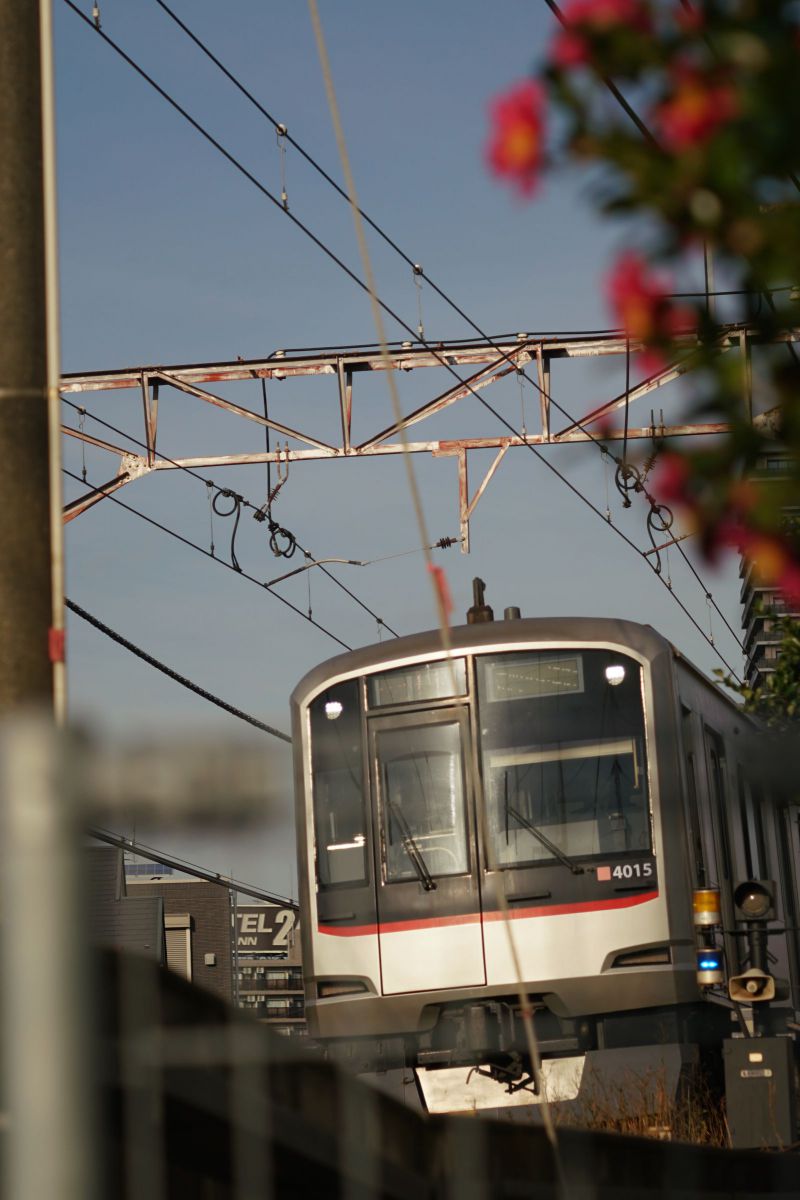 でんちゃきた！ | GANREF