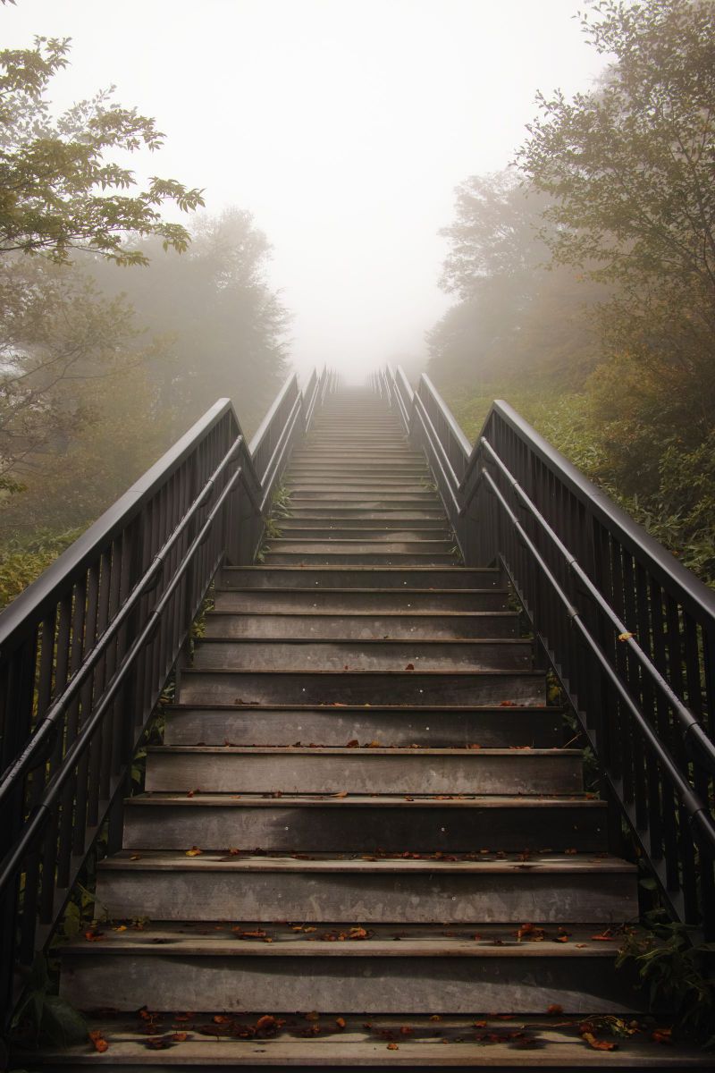 Up？ Down？ | GANREF