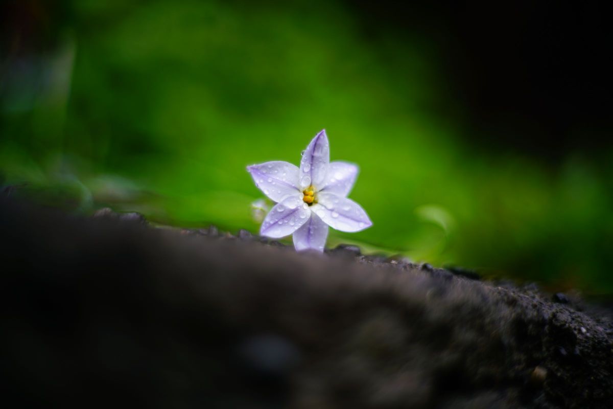 顔が濡れて、力が出ない〜・・・ | GANREF