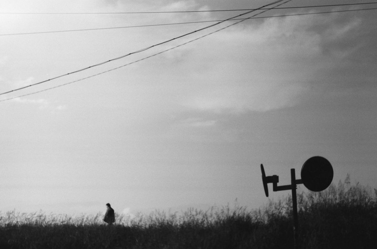 Blurred memory | GANREF