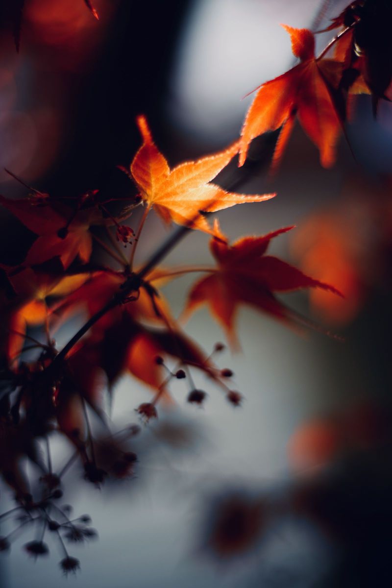 撮影日にご注目(´･ω･`) | GANREF