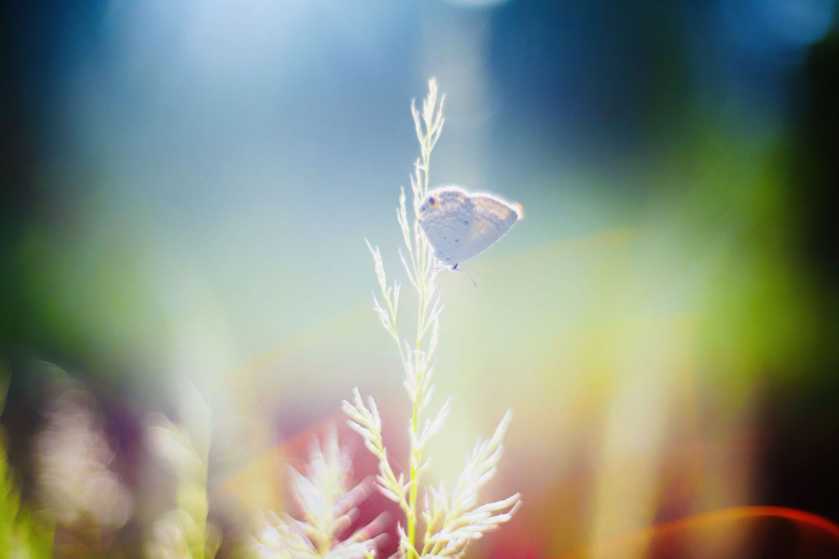 photography #40 Lost bright | GANREF