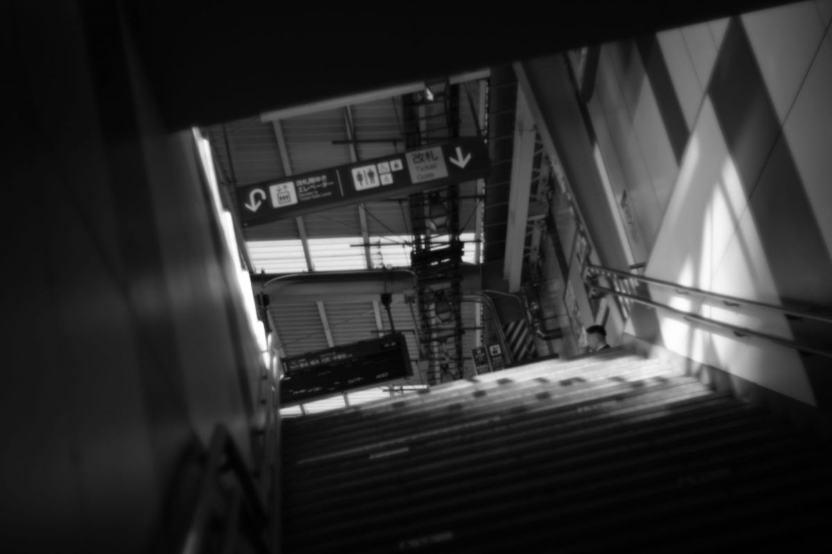 square？rectangle？ | GANREF