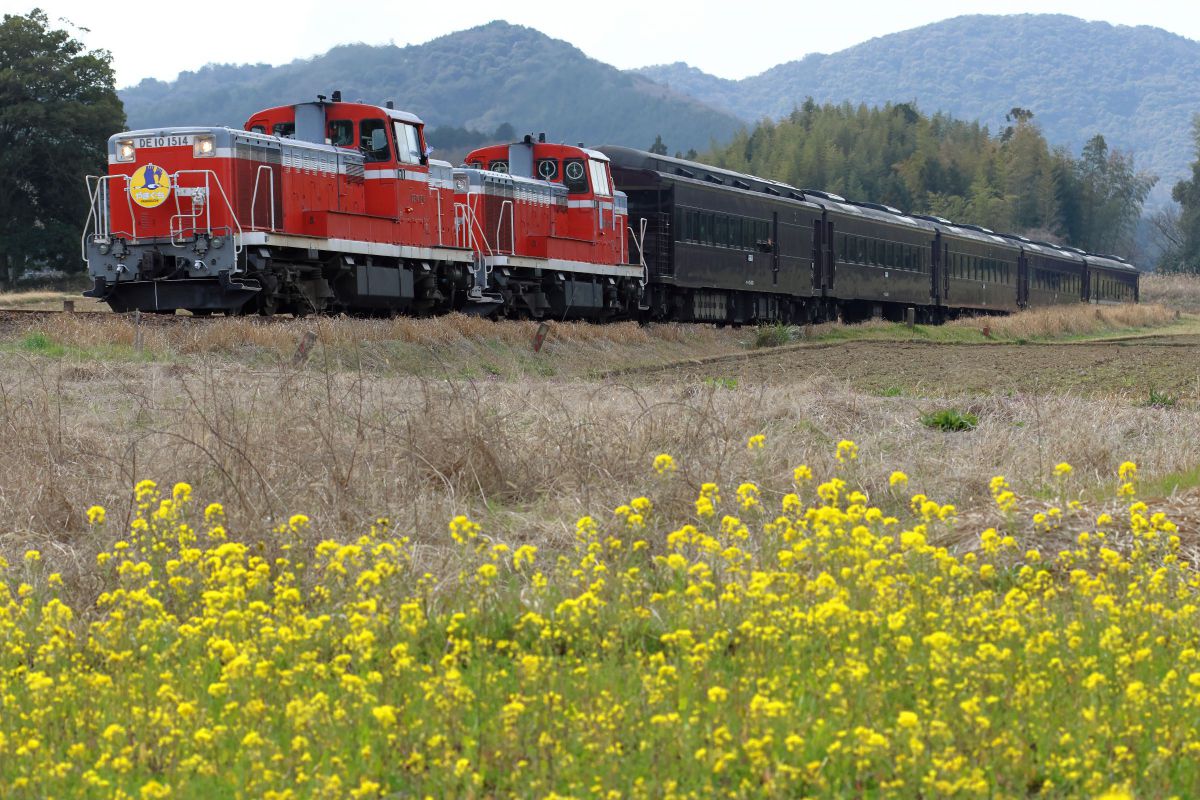 初春のDL重連 其の一 | GANREF