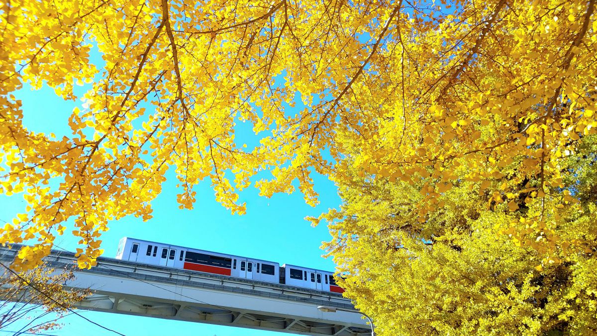 秋の日差しを浴びて | GANREF