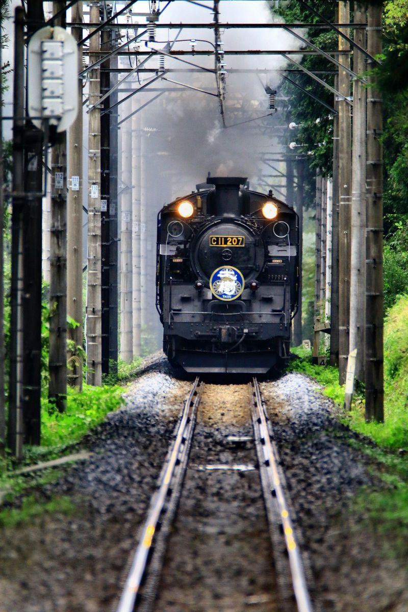 鉄路は続く | GANREF